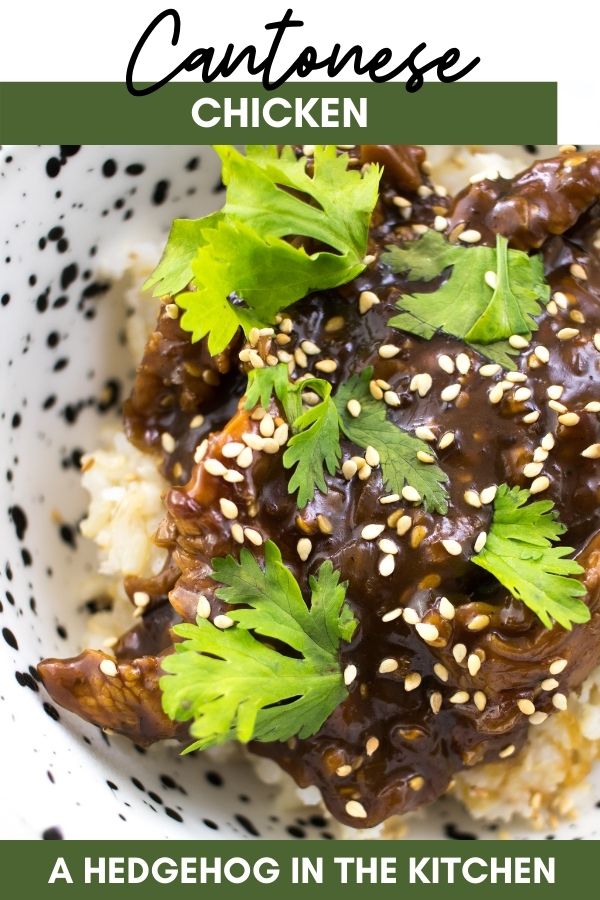 Cantonese Chicken - A Hedgehog in the Kitchen